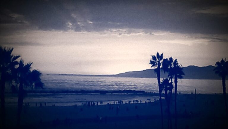 History of Venice Beach from 1900s to Present Day